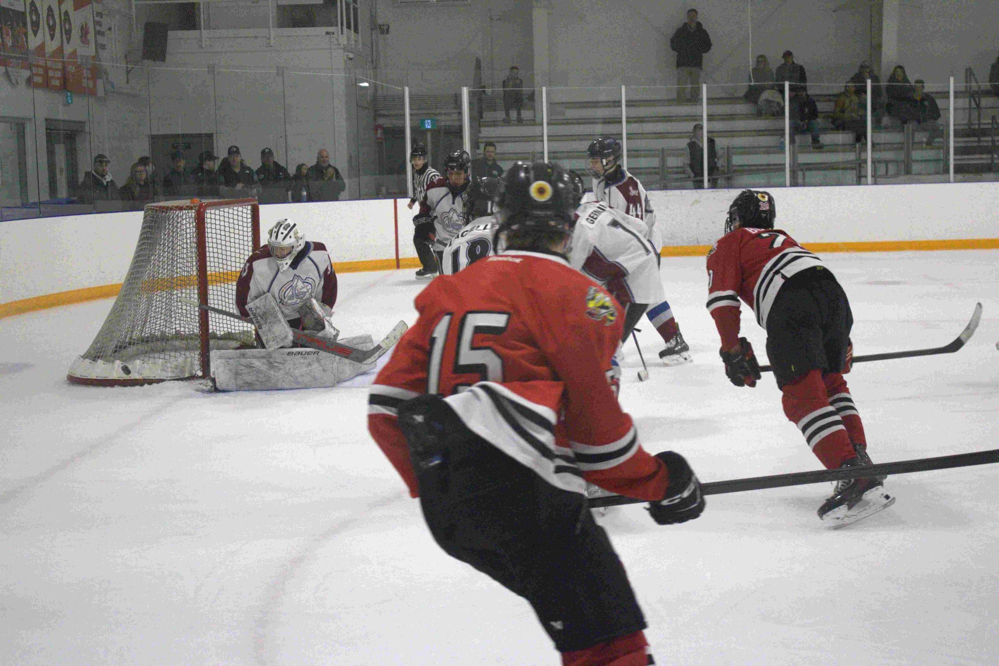 Les Cobras U15 grands champions! - Le Carillon